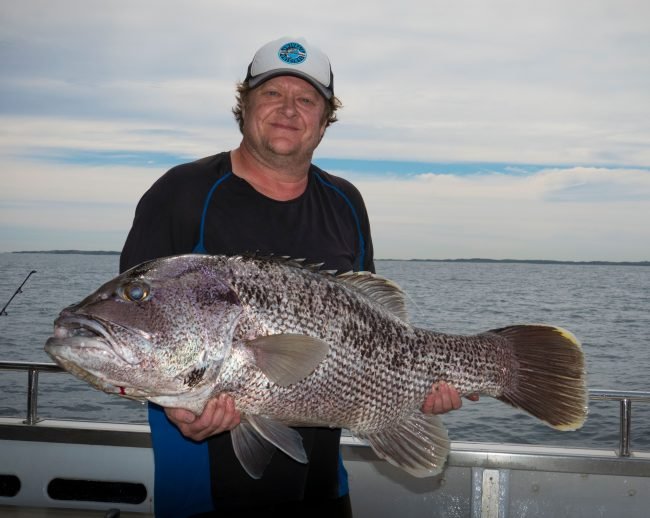 Videos to Help You Catch Dhufish - Perth Fishing TV